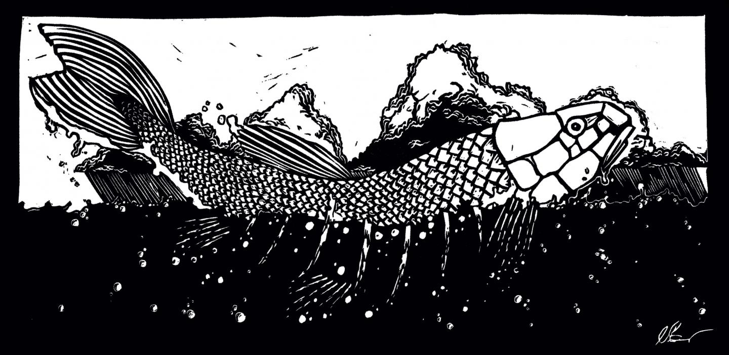 Oceans Were Acidified During Earth's Largest | EurekAlert!