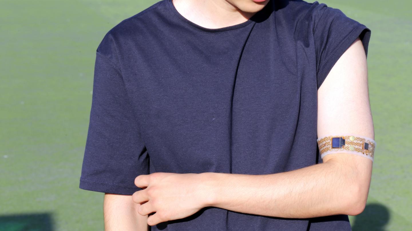 Building Benefits of Hard and Soft Electronic | EurekAlert!