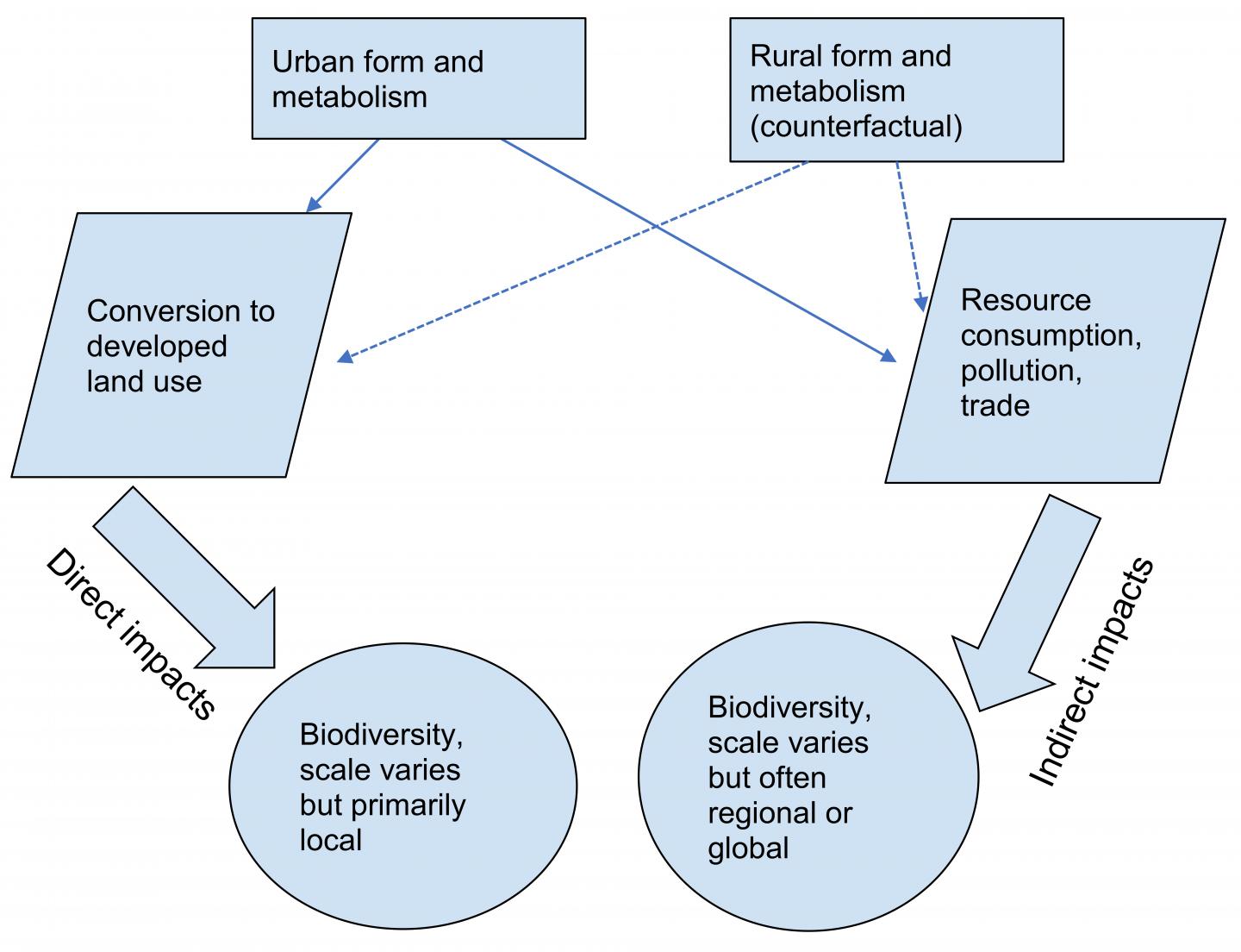 Direct and Indirect Impacts [IMAGE] | EurekAlert! Science News Releases