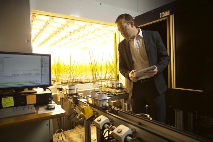 Thomas Brutnell, Donald Danfor [IMAGE] | EurekAlert! Science News Releases