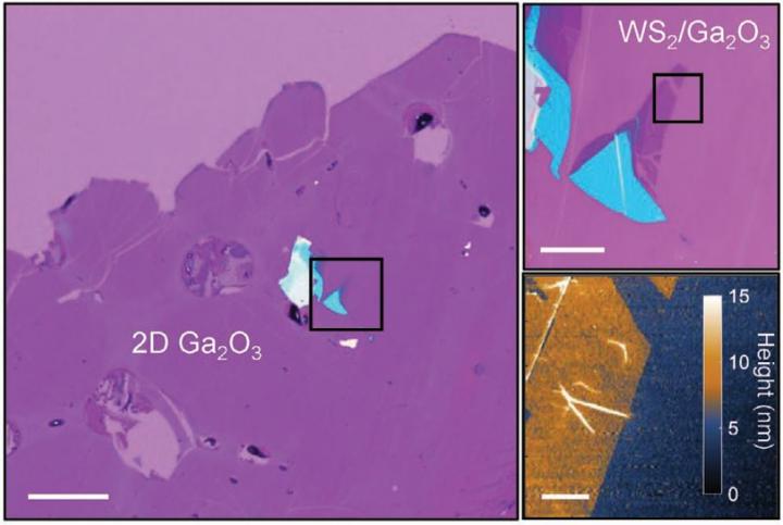 heterostructure [IMAGE] | EurekAlert! Science News Releases