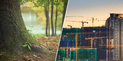 Losing nature impacts Black, Hispanic, and lo | EurekAlert!