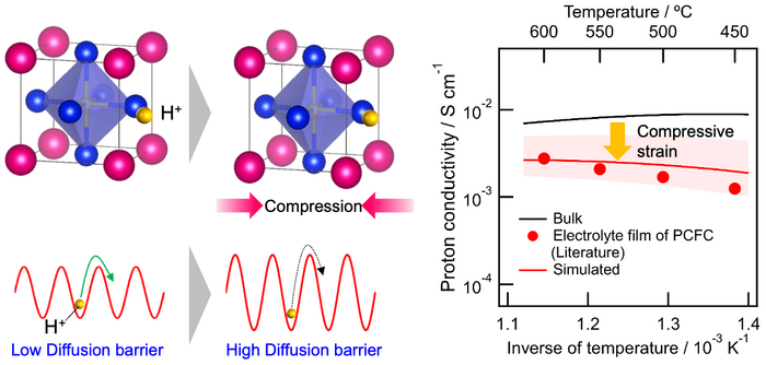 Strain reducing proton conduct [IMAGE] | EurekAlert! Science News Releases