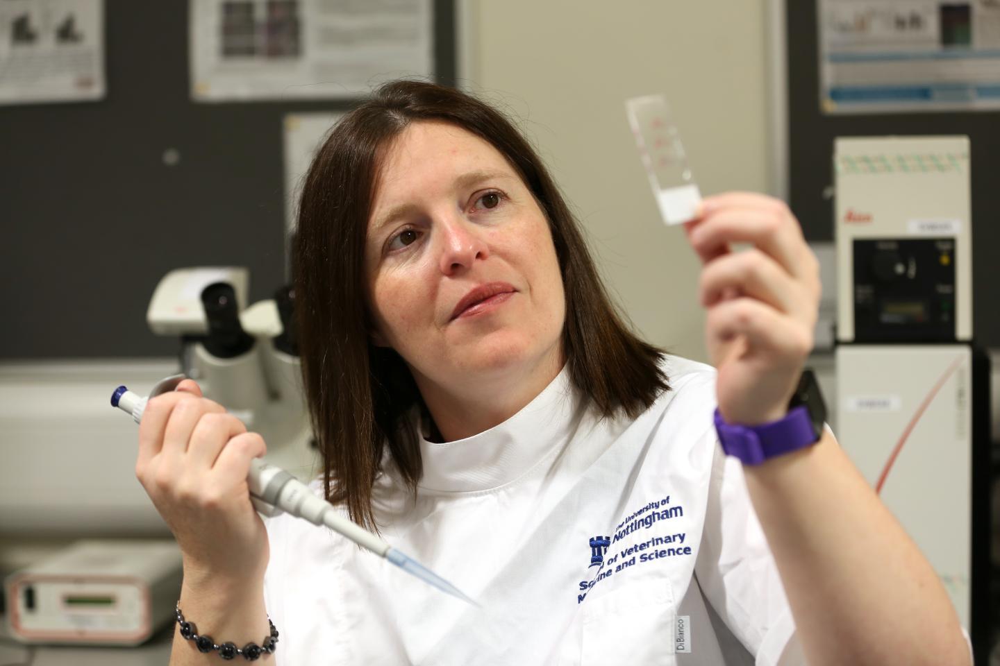 Dr. Rutland [IMAGE] | EurekAlert! Science News Releases