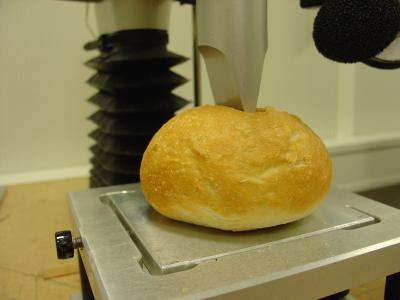 Bread [IMAGE] | EurekAlert! Science News Releases