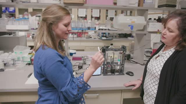 Synthetic Nerve Conduit Bridges the Gap in Ar | EurekAlert!