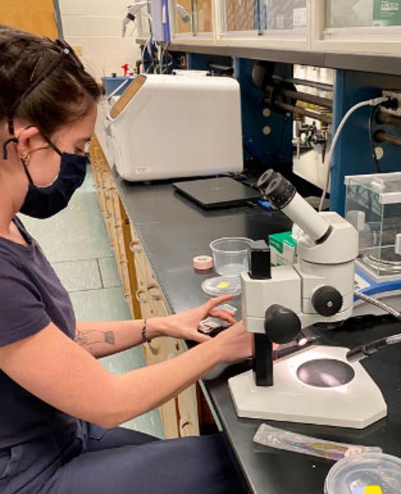 Cricket research [IMAGE] | EurekAlert! Science News Releases