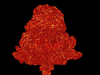 Flaming Bubble of Nuclear Mate [IMAGE] | EurekAlert! Science News Releases