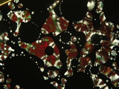 Liquid Crystal Phases from Short Rods 6 (of 7 | EurekAlert!