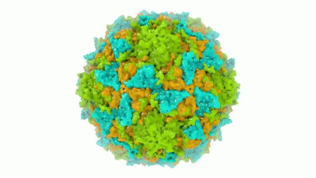 Plant-produced polio vaccines could help erad | EurekAlert!