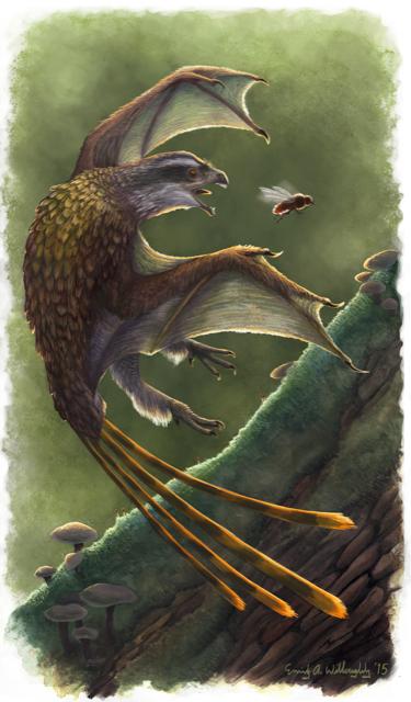 Flighted Dinosaur Yi Qi Recons [IMAGE] | EurekAlert! Science News Releases