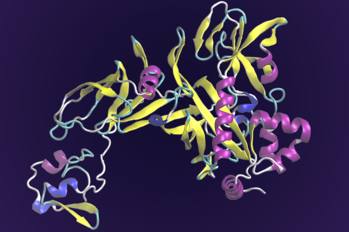 Modeled protein structure [IMAGE] | EurekAlert! Science News Releases