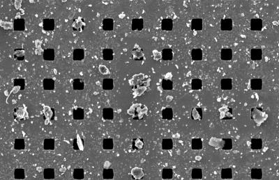One Room -- 63 Different Dust [IMAGE] | EurekAlert! Science News Releases
