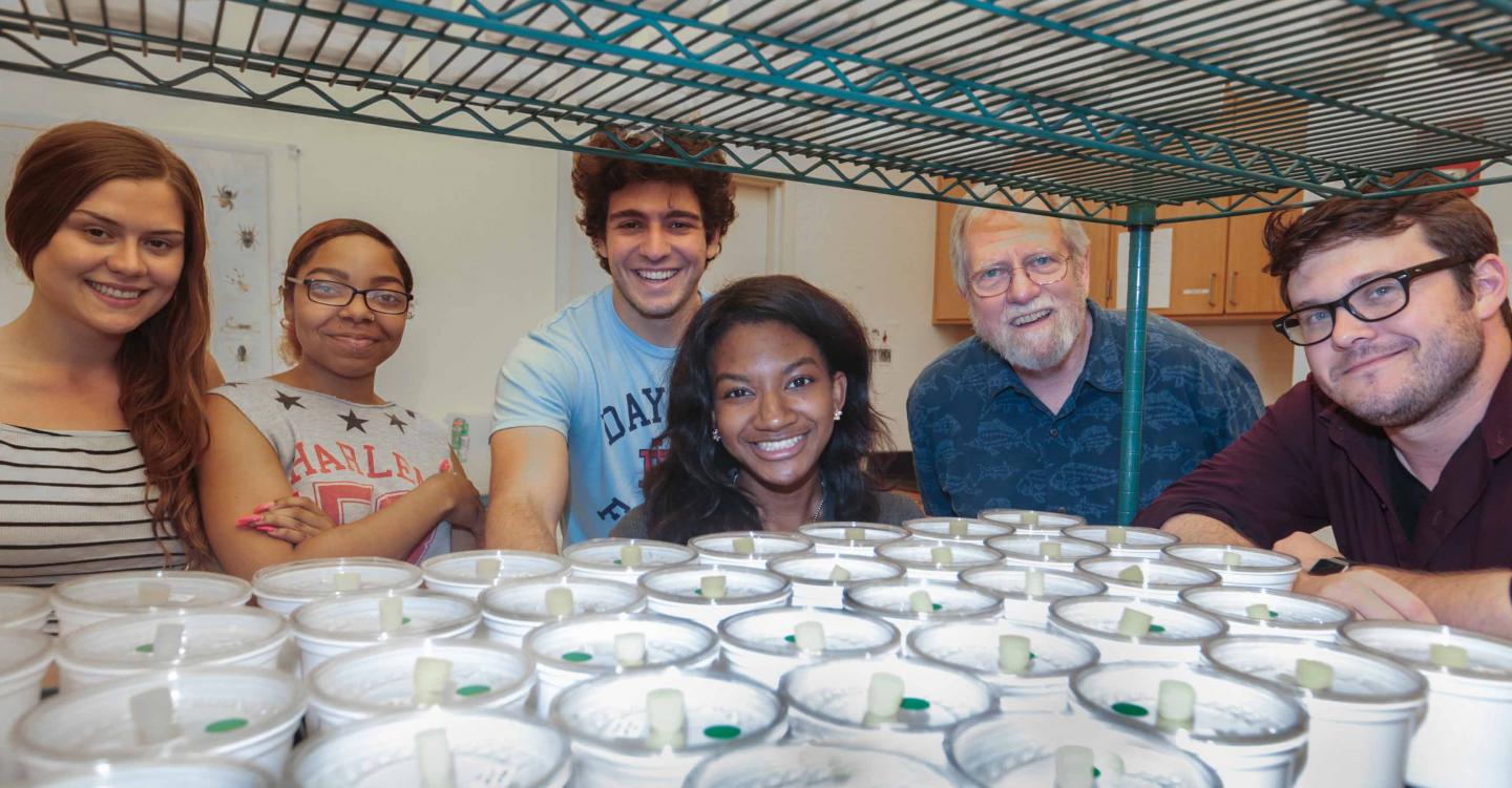 Wolf Spider 3 [IMAGE] | EurekAlert! Science News Releases