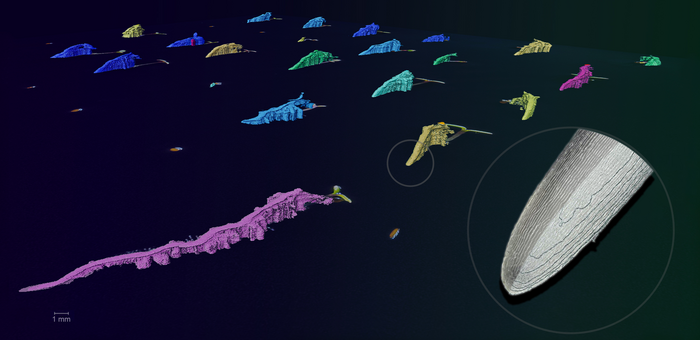 AI system facilitates plant imaging from the | EurekAlert!