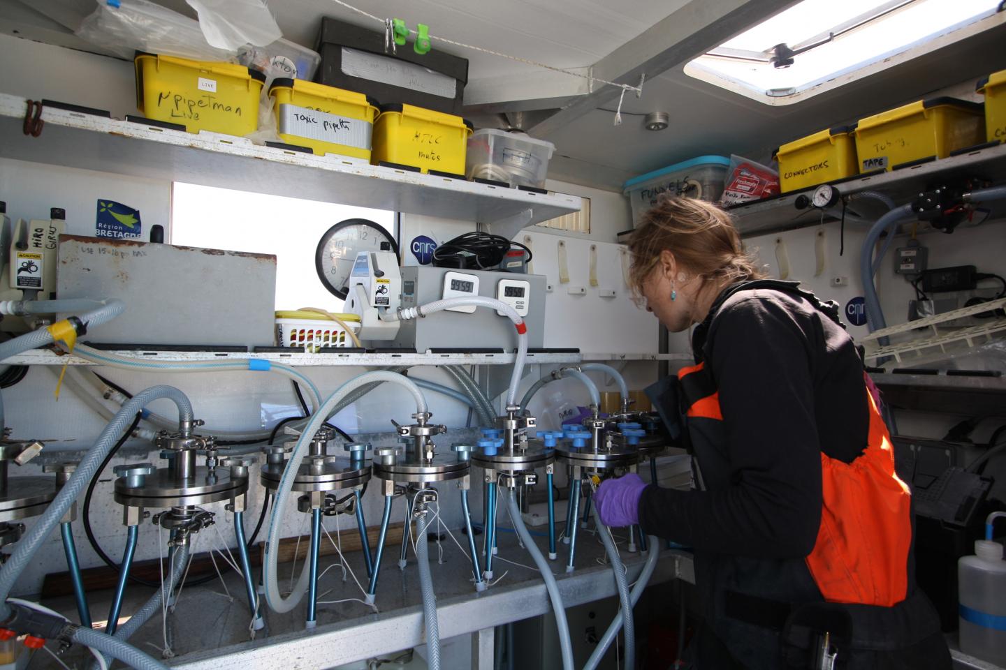 Filter Bench [IMAGE] | EurekAlert! Science News Releases