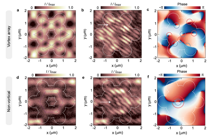 Ordered vortex Lasing arrays a [IMAGE] | EurekAlert! Science News Releases