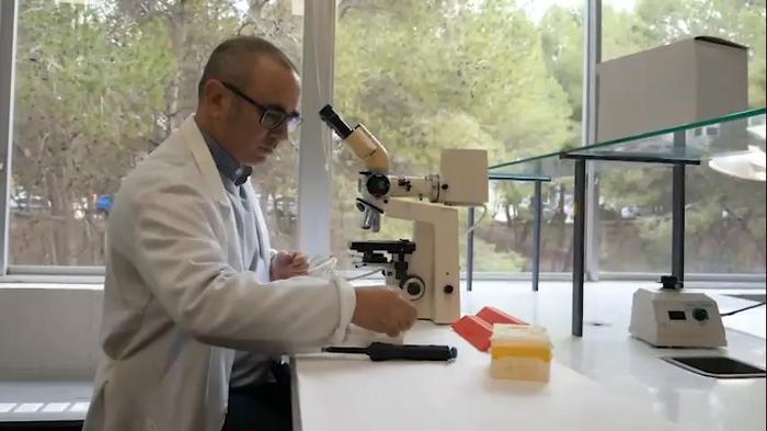 Researchers identify a mutation that alters A | EurekAlert!