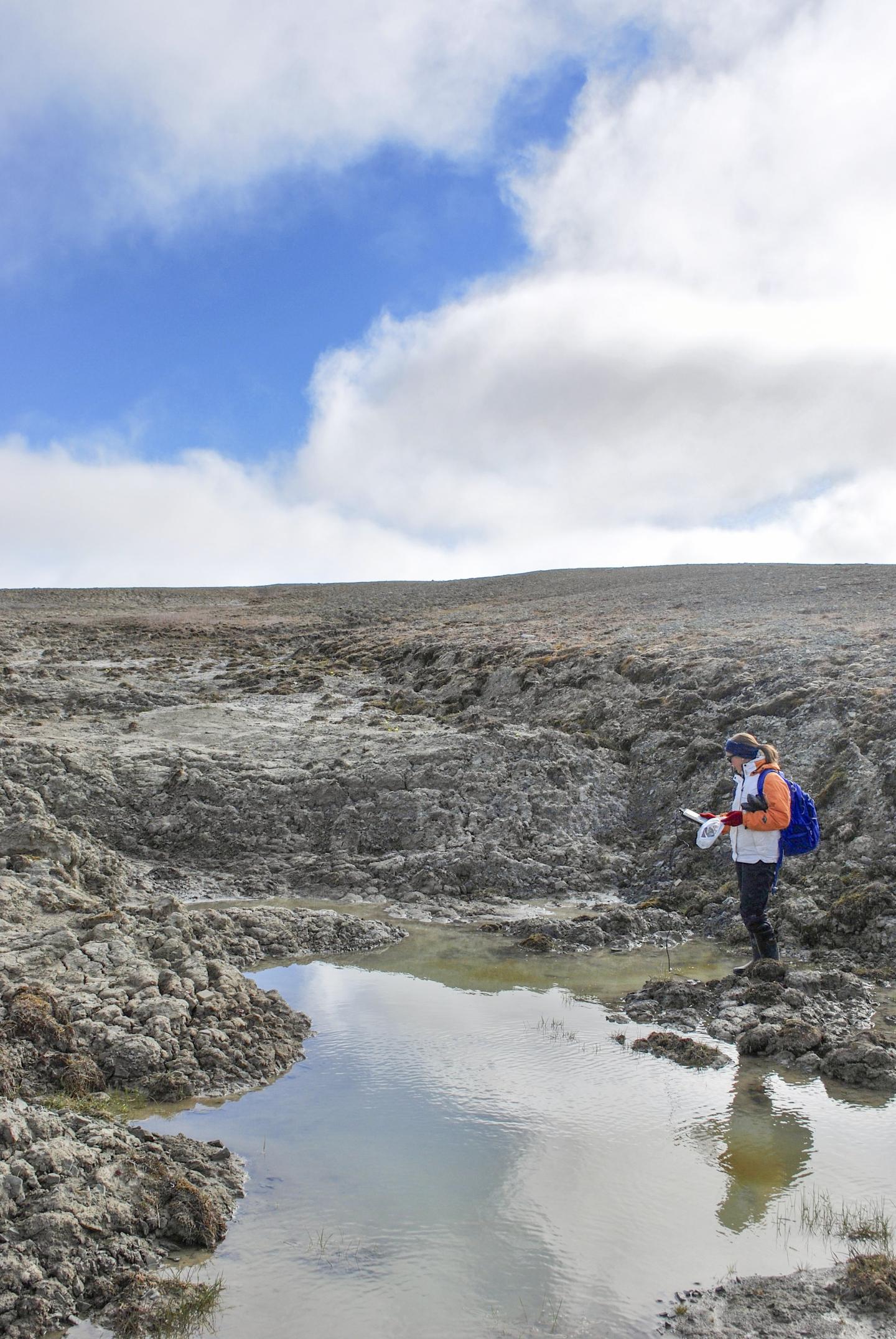 Changing landscape means some Arctic ponds ma | EurekAlert!