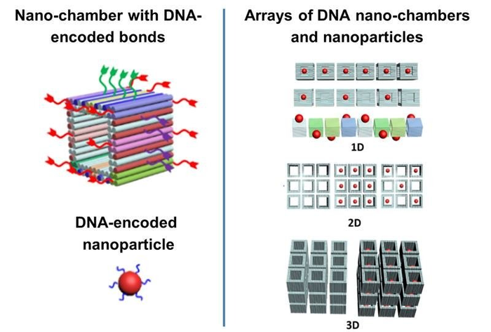 Scientists use DNA to assemble complex nanoma | EurekAlert!
