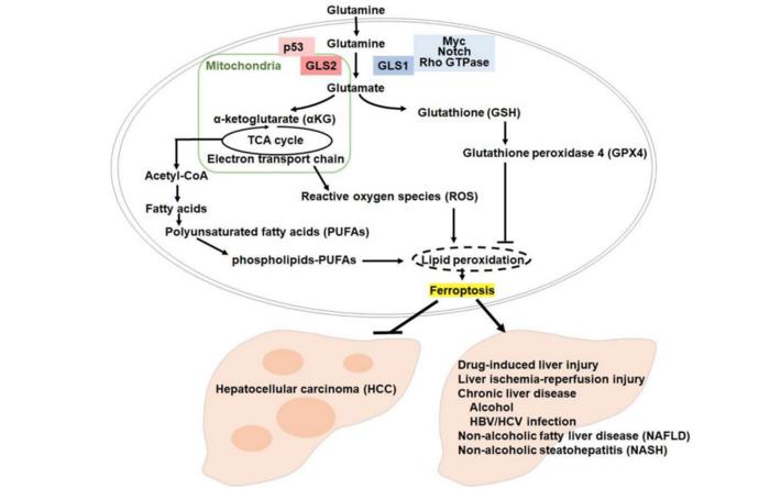 Figure 1 [IMAGE] | EurekAlert! Science News Releases