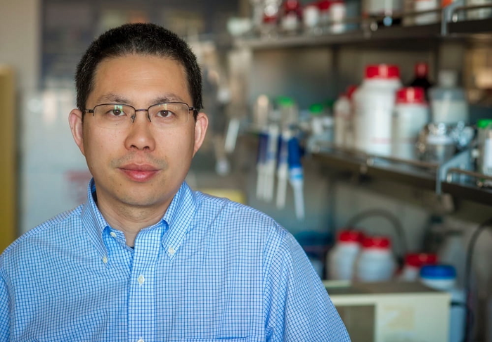 Yi Hong [IMAGE] | EurekAlert! Science News Releases