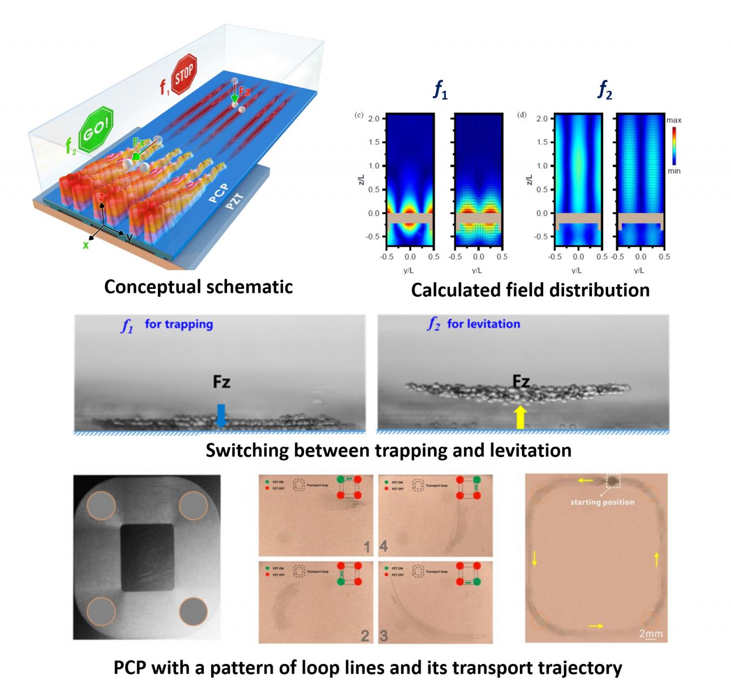 Phononic Crystal Enabled Dynam [IMAGE] | EurekAlert! Science News Releases