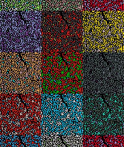 Researchers measure the basis of color vision | EurekAlert!