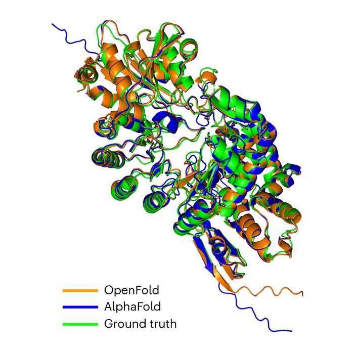 OpenFold [IMAGE] | EurekAlert! Science News Releases