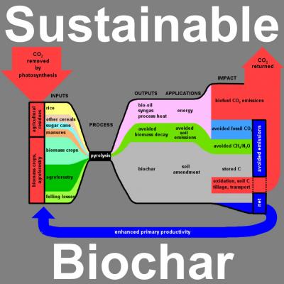 Biochar Production and Emissio [IMAGE] | EurekAlert! Science News Releases