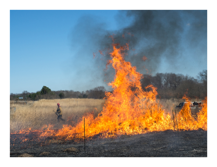 3. Prescribed burn [IMAGE] | EurekAlert! Science News Releases