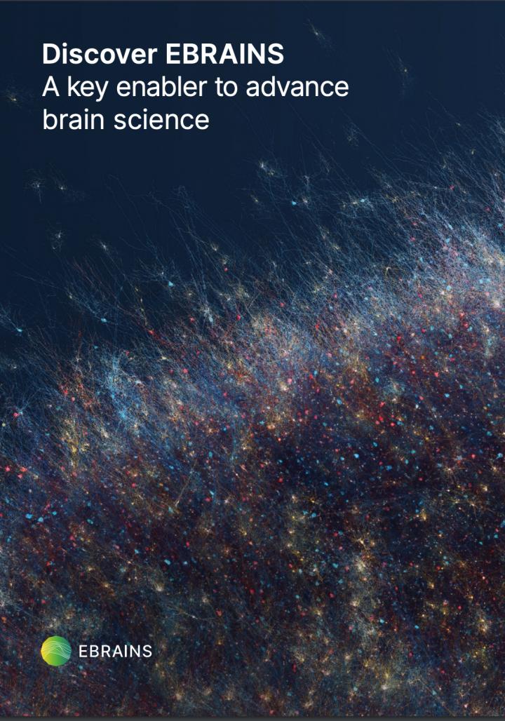 Discover EBRAINS: A look inside Europe's new | EurekAlert!