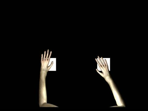 Brain-Machine Interface Lets Monkeys Control | EurekAlert!