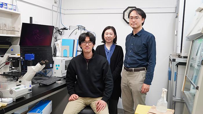 Figure 1 [IMAGE] | EurekAlert! Science News Releases