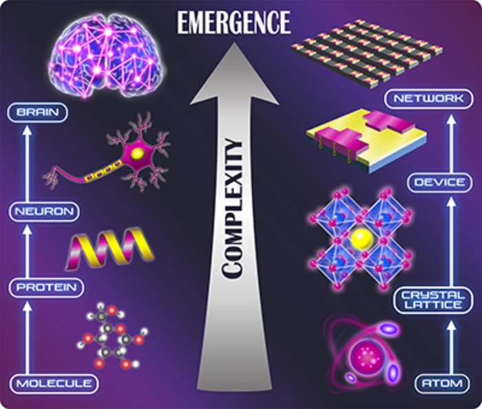 Q-MEEN-C Emergence [IMAGE] | EurekAlert! Science News Releases