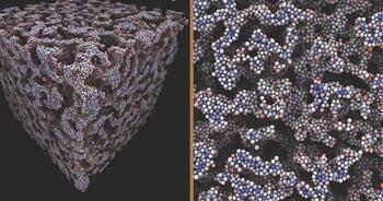 Colloidal Gel Structure [IMAGE] | EurekAlert! Science News Releases