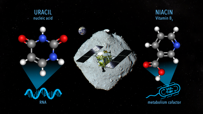 Uracil found in Ryugu samples | EurekAlert!