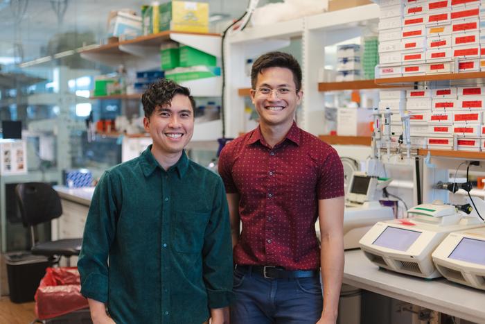 UTD Researchers in Lab [IMAGE] | EurekAlert! Science News Releases