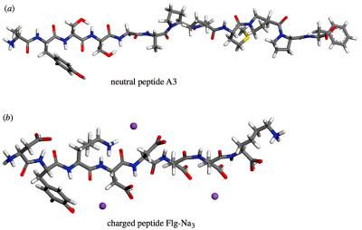 Peptides in Biomineralization [IMAGE] | EurekAlert! Science News Releases