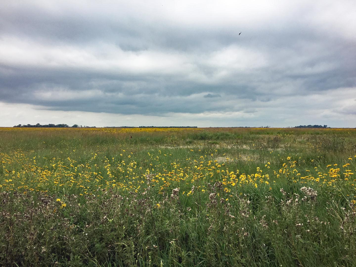 Land in the USDA Conservation [IMAGE] | EurekAlert! Science News Releases