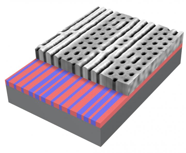 Schematic of Nanoarchitecture [IMAGE] | EurekAlert! Science News Releases
